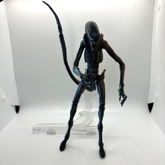Neca | Toys | Neca Alien 3 Dog Resurrection Xenomorph Warrior Premium ...